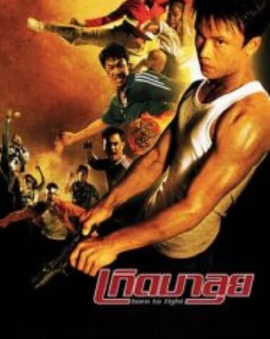 Born to Fight (2004) เกิดมาลุย ดูซีรี่ย์จีน ซีรี่ย์ออนไลน์