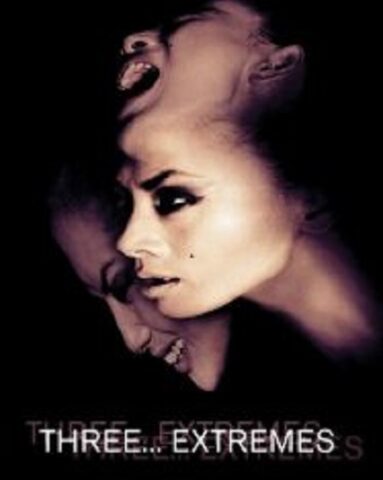Three Extremes อารมณ์ อาถรรพ์ อาฆาต (2002) | Baan-Series.org